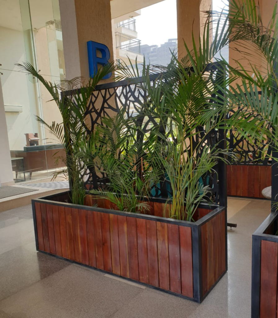Buy Premium Planters Online| Ceramic Planters | Shop Now!